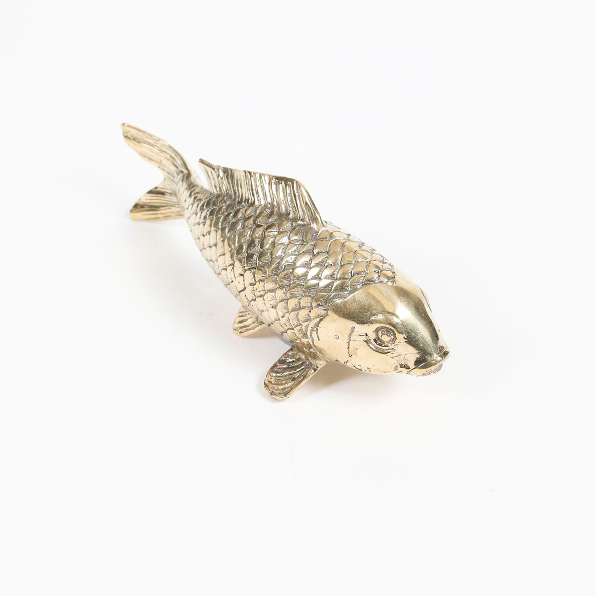 Brass Fish | Accessories | Decor | GBO | Lower Hutt | Wellington – GBO NZ